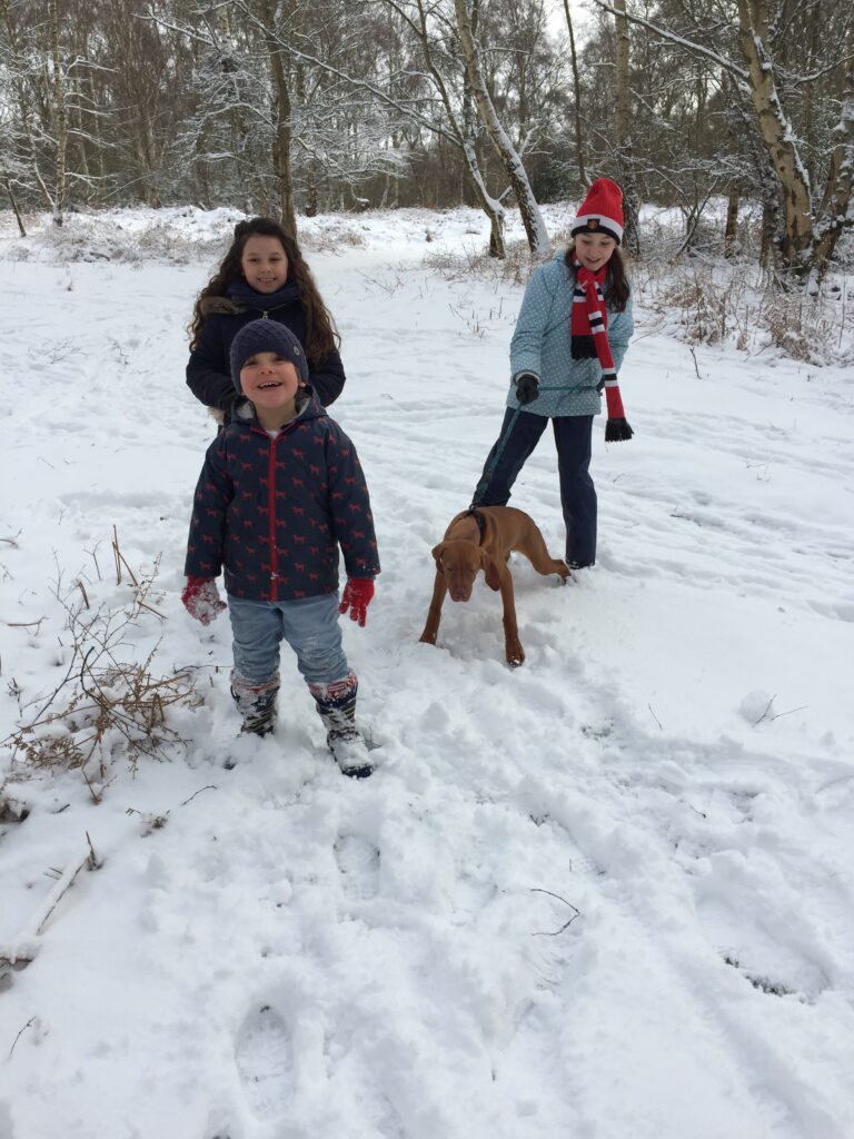 Sandringham and West Newton | SNOW DAY…